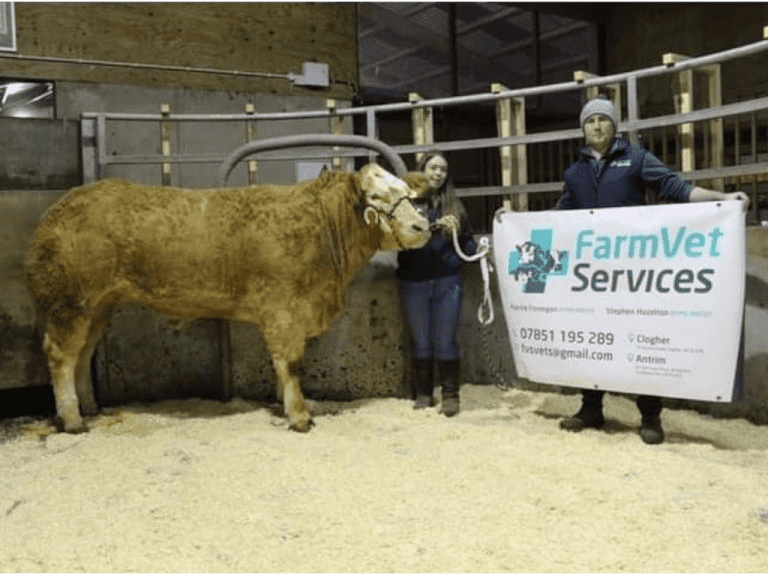 FVS - Personal Service With A Pro-Active Approach