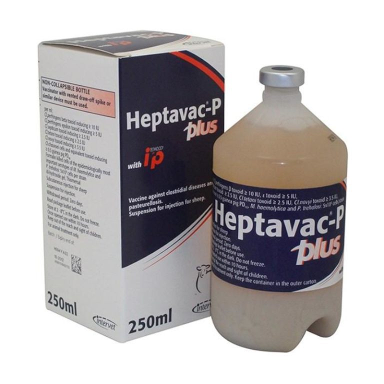 Heptavac P Plus 250ml - Farm Vet Services