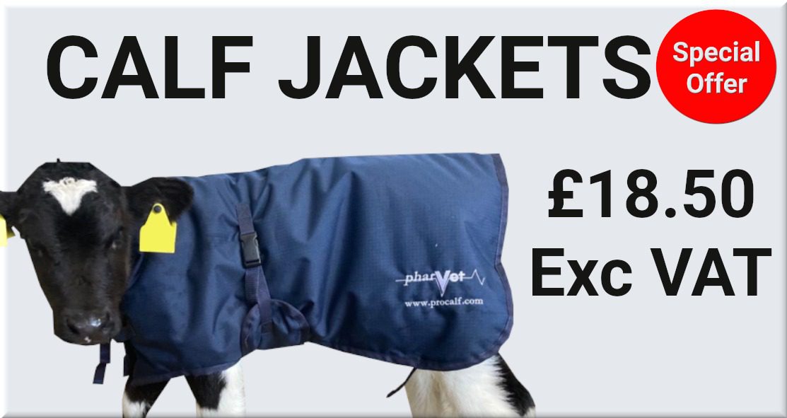 CalfJackets - Personal Service With A Pro-Active Approach