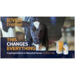Bovilis Cryptium - Farm Vet Services