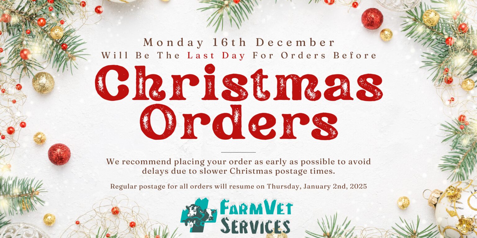 FVS - Personal Service With A Pro-Active Approach