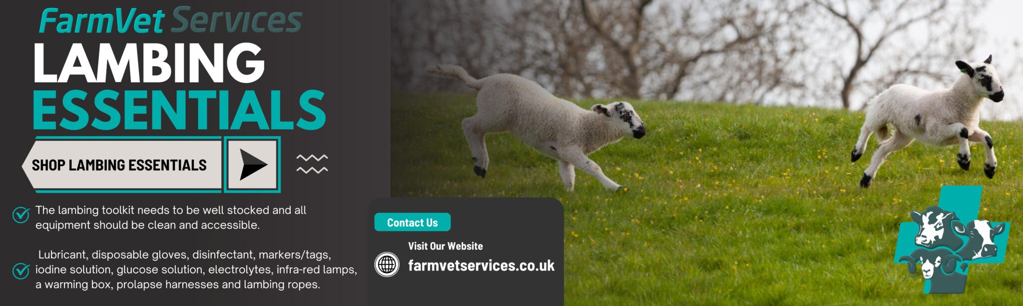 FVS - Personal Service With A Pro-Active Approach