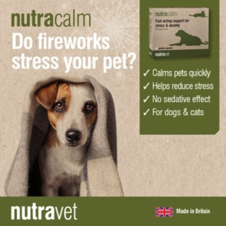 Nutracalm Dogs & Cats Chew - Farm Vet Services
